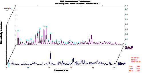 Vibration analysis gears - DMC